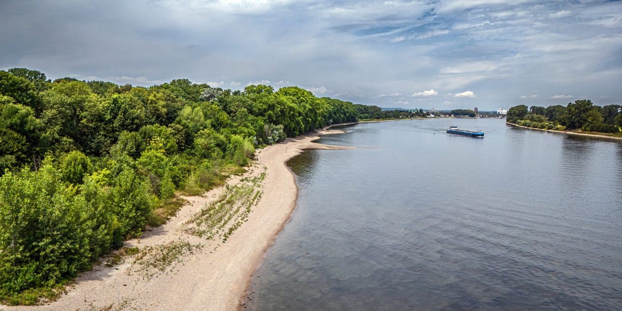 Rhine Clean Up 2025: Gemeinsam am 13. September den Rhein säubern | DIE ...